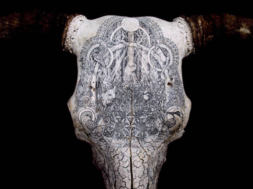 CREATORS – Dan Power | Polyfield Magazine