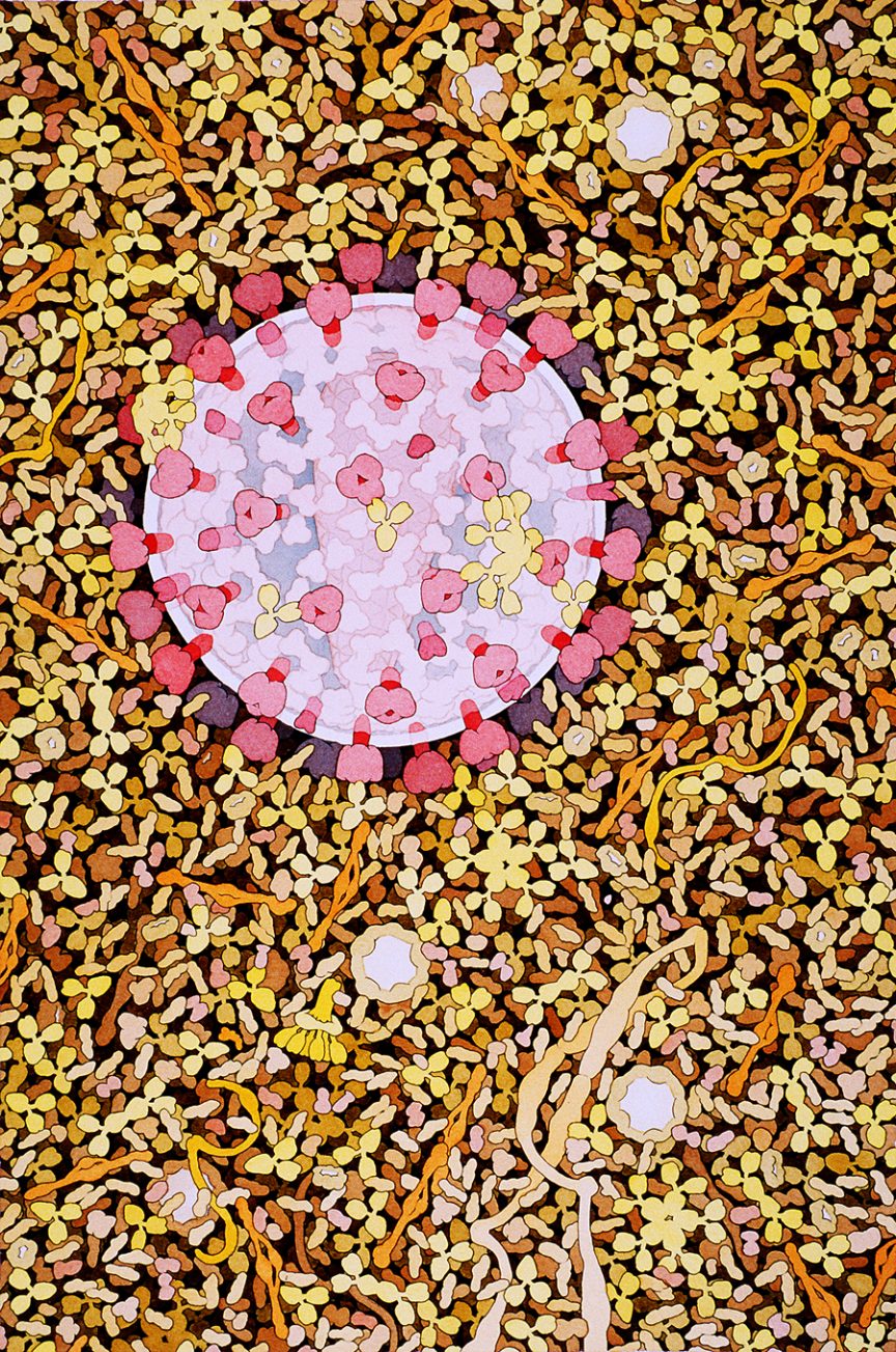 CREATORS – David Goodsell | Polyfield Magazine