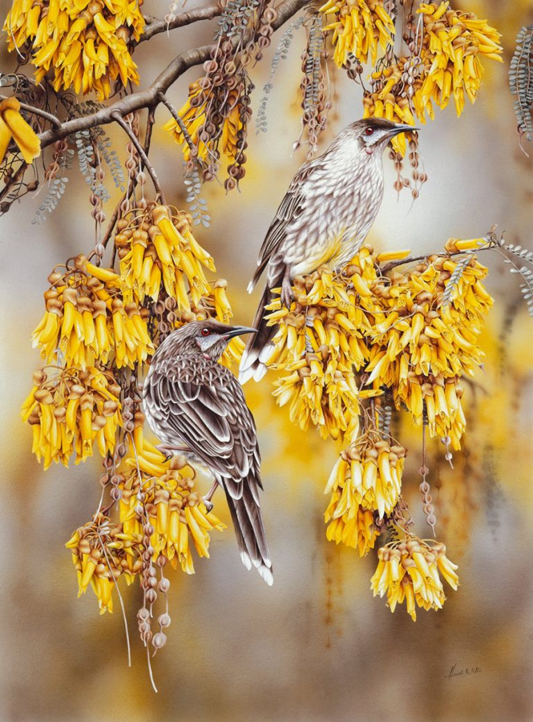 CREATORS – Heidi Willis | Polyfield Magazine