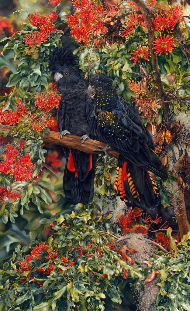 CREATORS – Heidi Willis | Polyfield Magazine