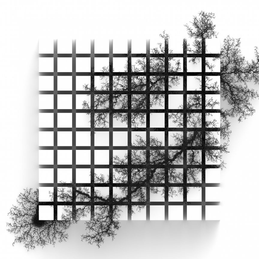 CREATORS – Mark Stock | Polyfield Magazine