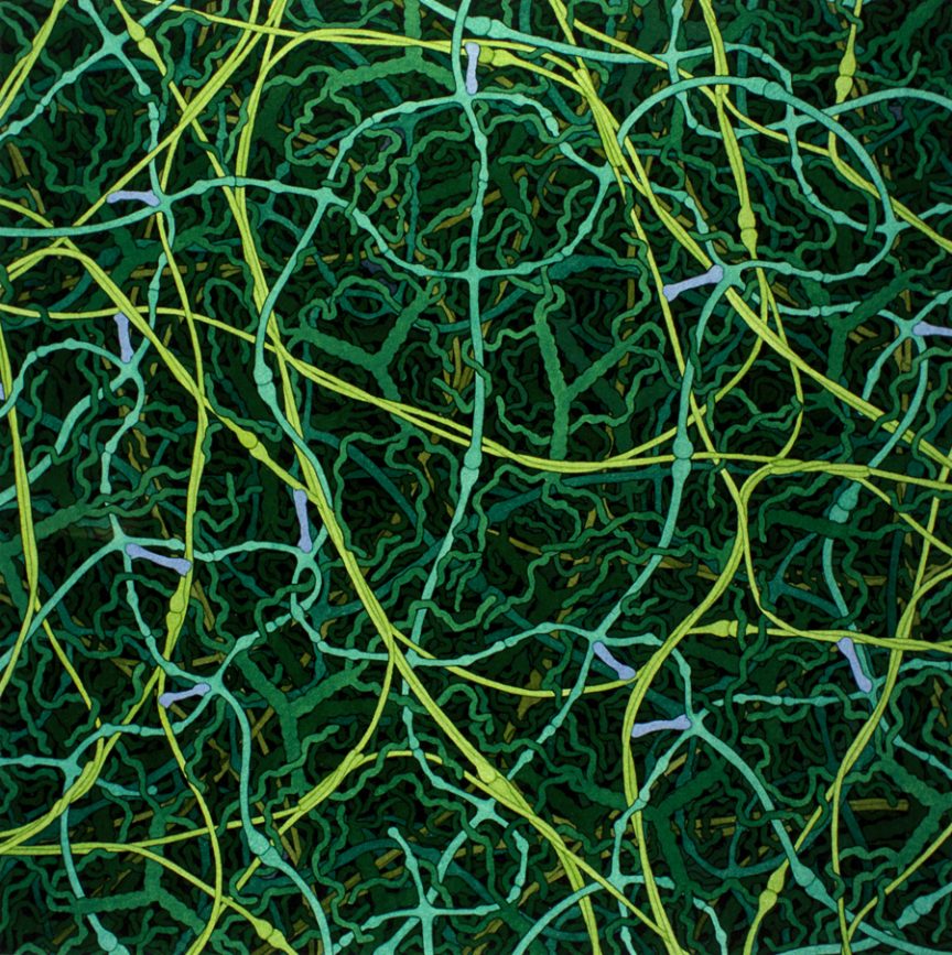 CREATORS – David Goodsell | Polyfield Magazine