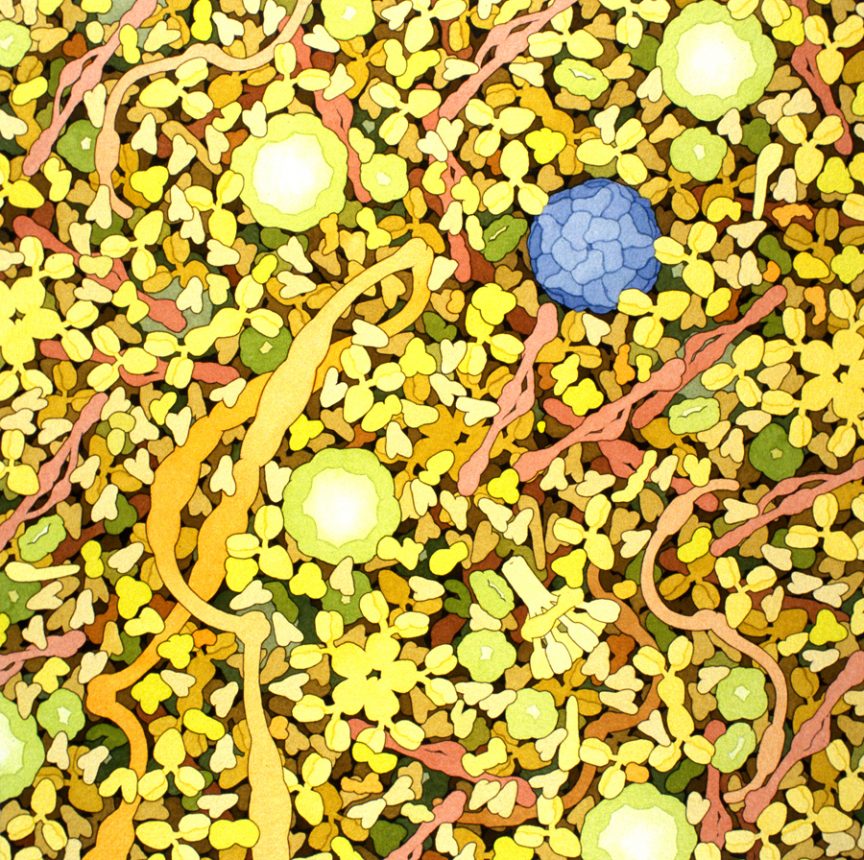 CREATORS – David Goodsell | Polyfield Magazine