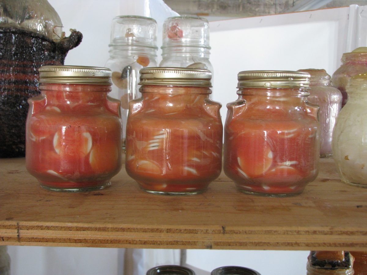 CREATORS – Aganetha Dyck | Polyfield Magazine