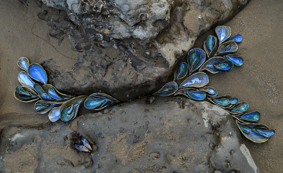 CREATORS – Jenni Ward | Polyfield Magazine