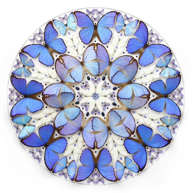 CREATORS – Christopher Marley | Polyfield Magazine