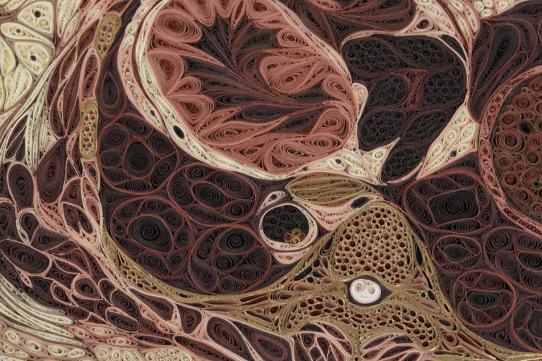 CREATORS – Lisa Nilsson | Polyfield Magazine