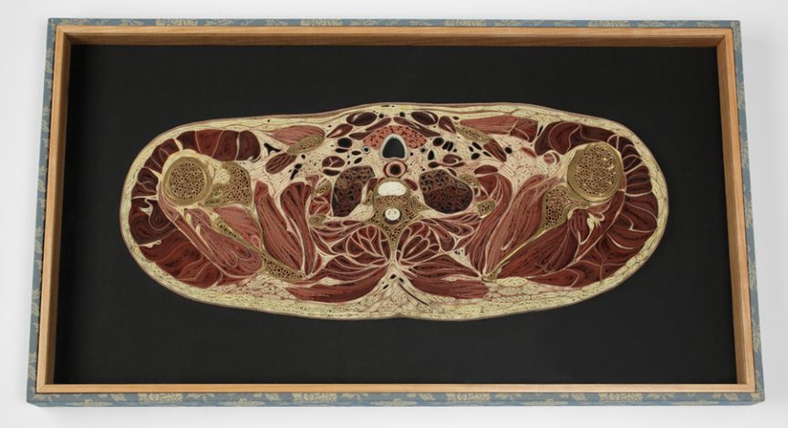 CREATORS – Lisa Nilsson | Polyfield Magazine