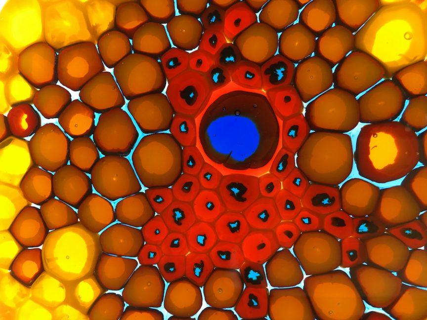 CREATORS – Joy Levins | Polyfield Magazine