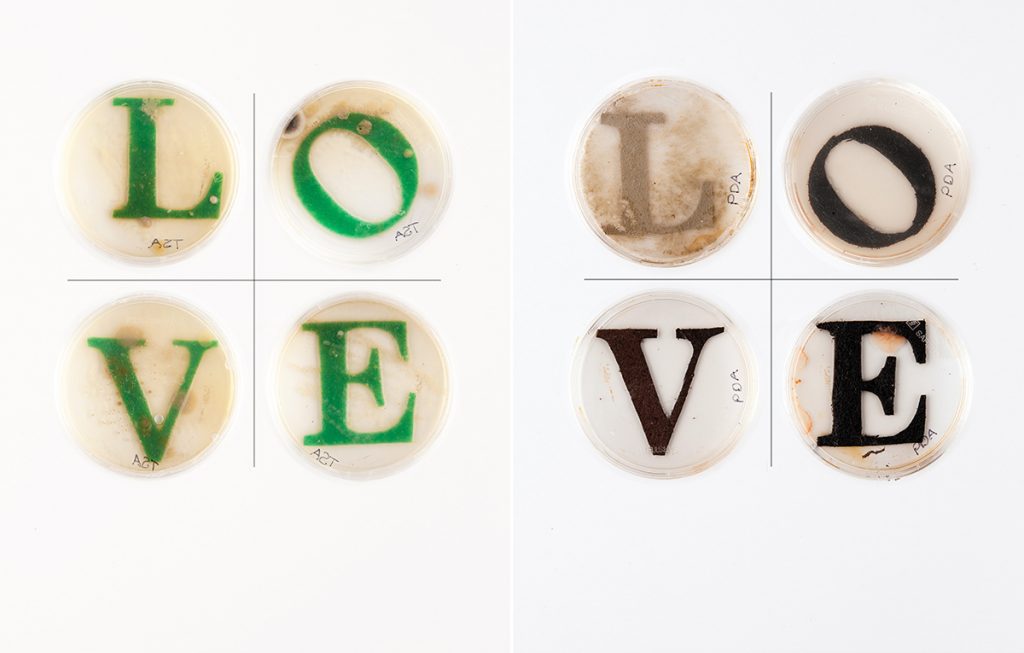 CREATORS – Jennifer Willet | Polyfield Magazine
