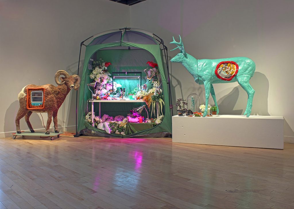 CREATORS – Jennifer Willet | Polyfield Magazine