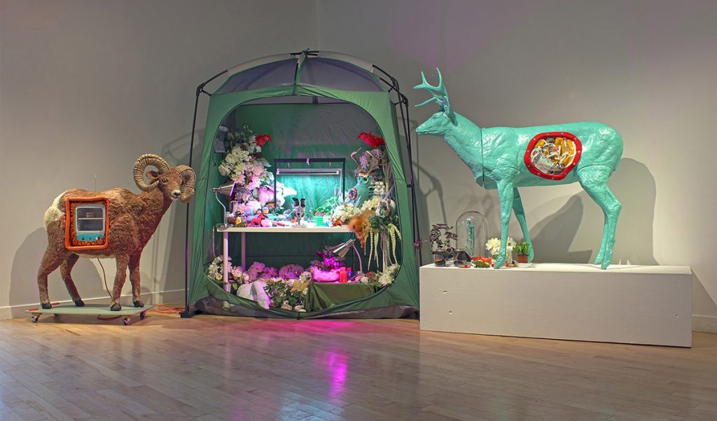 CREATORS – Jennifer Willet | Polyfield Magazine