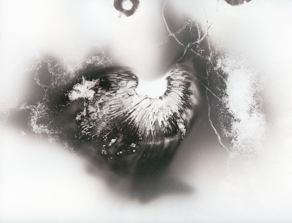 CREATORS – Madge Evers | Polyfield Magazine