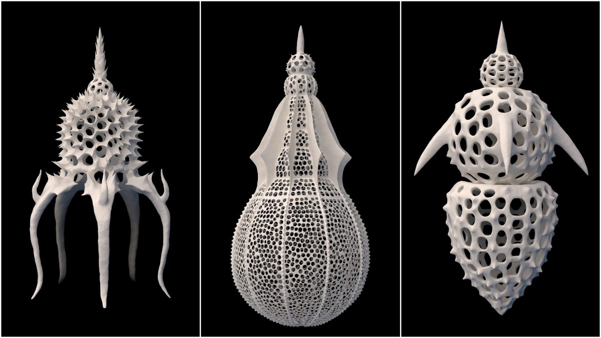 CREATORS – Joseph Carr | Polyfield Magazine