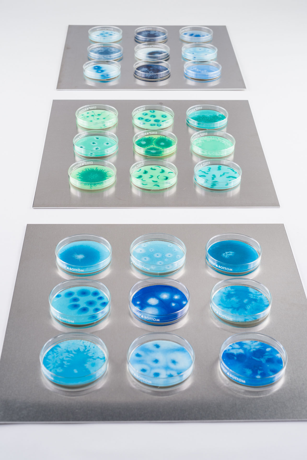 CREATORS – Michele Banks | Polyfield Magazine