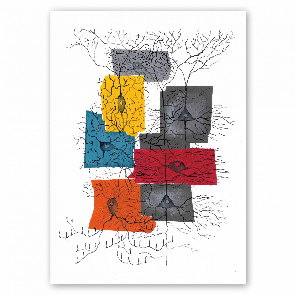 CREATORS – Rozan Vroman | Polyfield Magazine