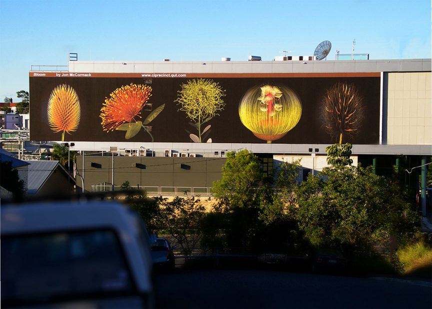 CREATORS – Jon McCormack | Polyfield Magazine