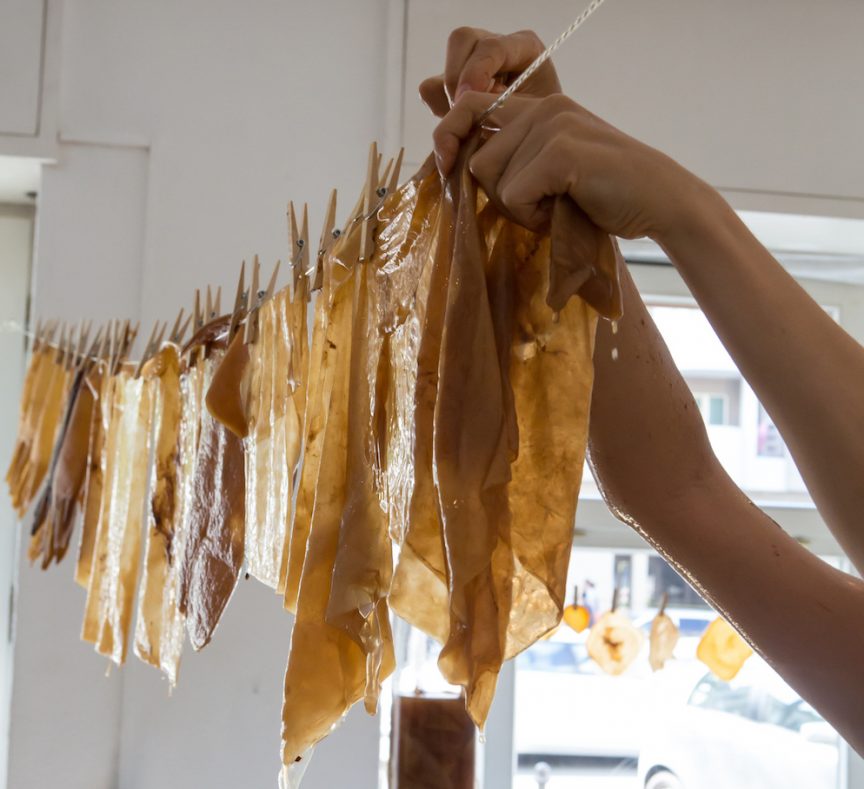 FEATURES – Fermenting Feminism | Polyfield Magazine