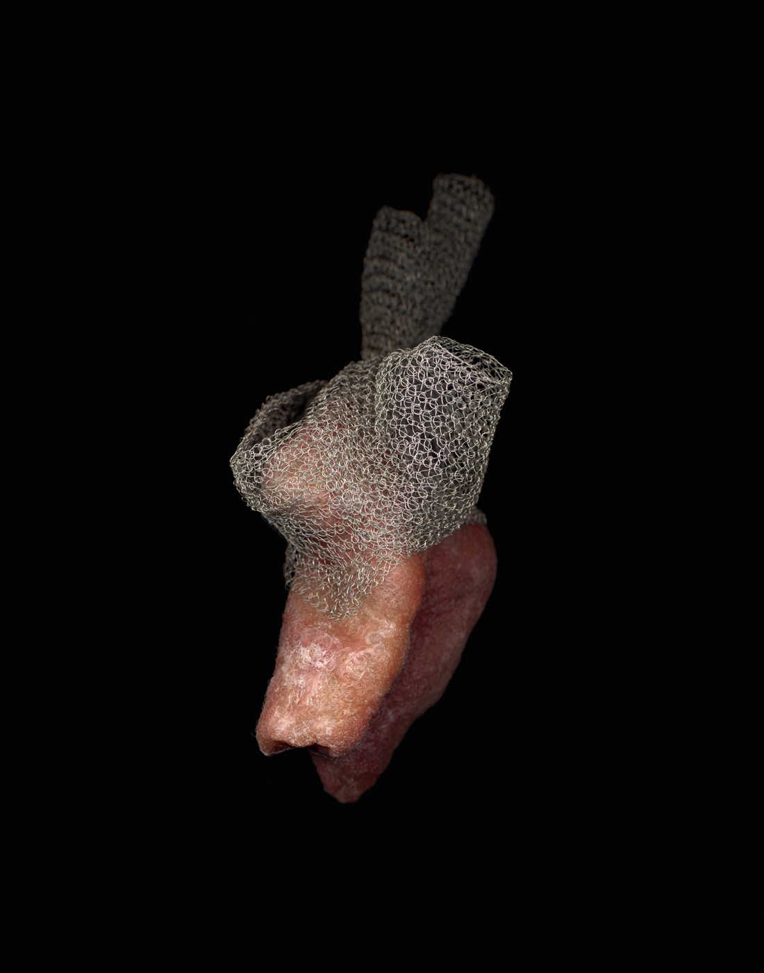 CREATORS – Anne Mondro | Polyfield Magazine