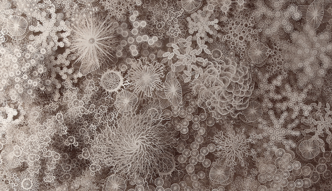 CREATORS – Rogan Brown | Polyfield Magazine