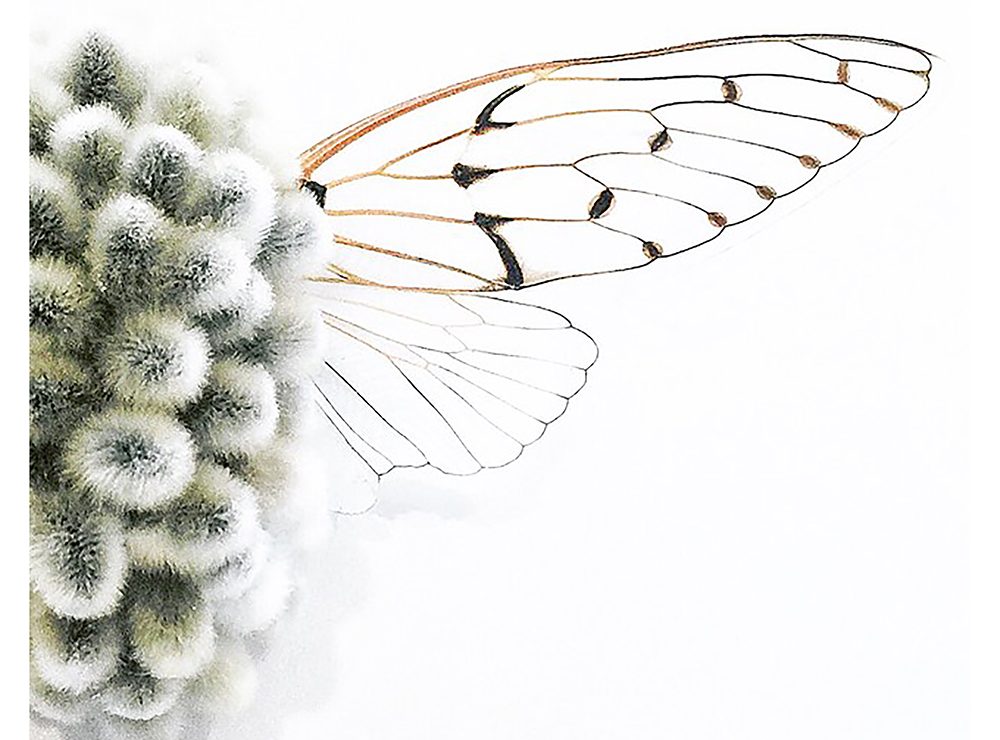 CREATORS – Adrienne DeLoe | Polyfield Magazine