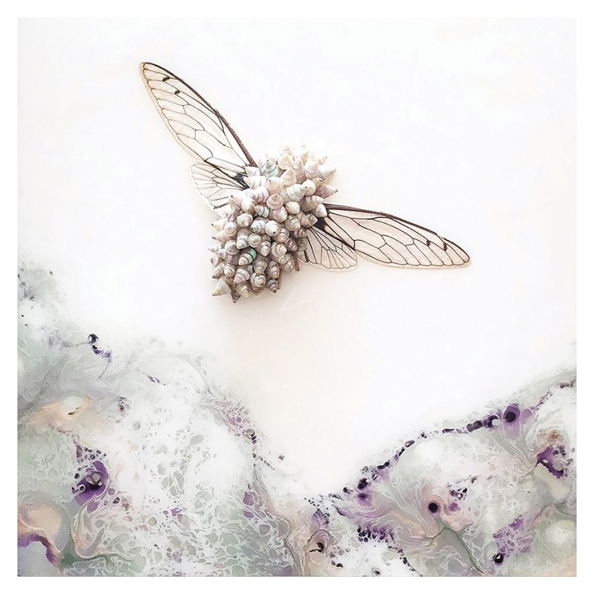 CREATORS – Adrienne DeLoe | Polyfield Magazine