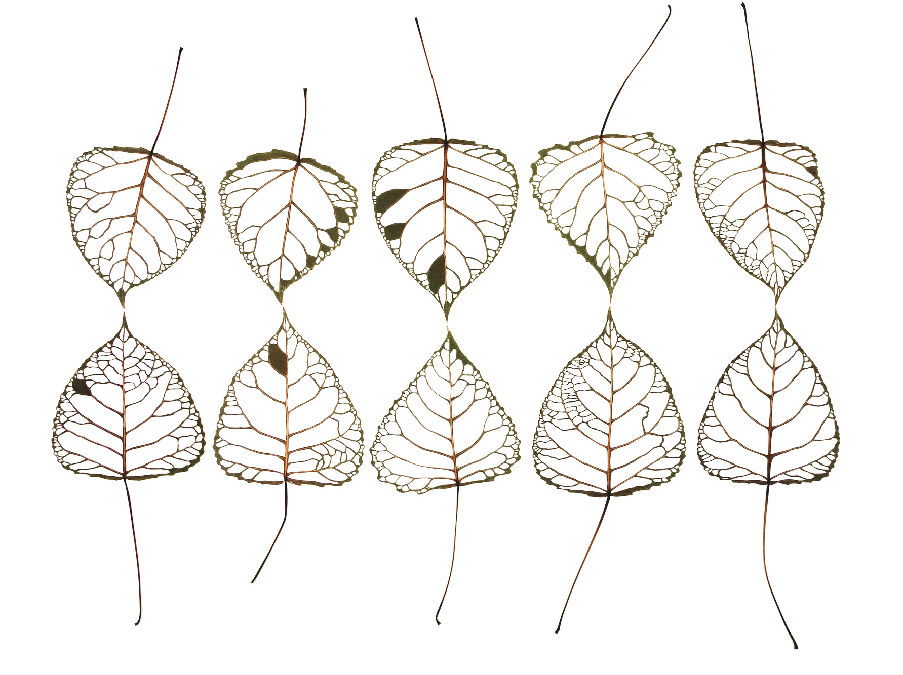 CREATORS – Hillary Waters Fayle | Polyfield Magazine