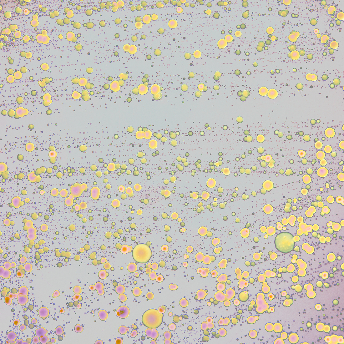 CREATORS – Chloe Russell | Polyfield Magazine