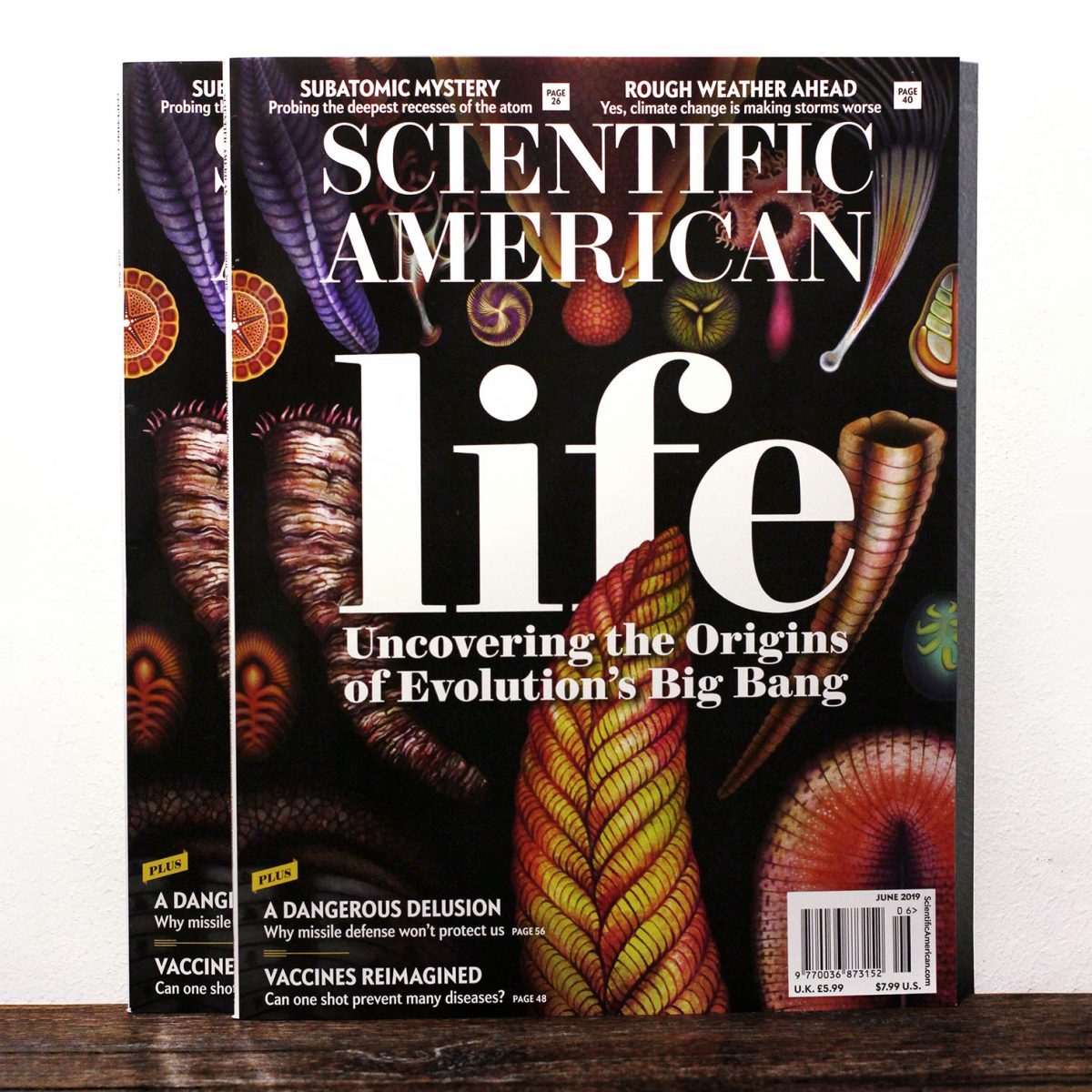 CREATORS – Franz Anthony | Polyfield Magazine