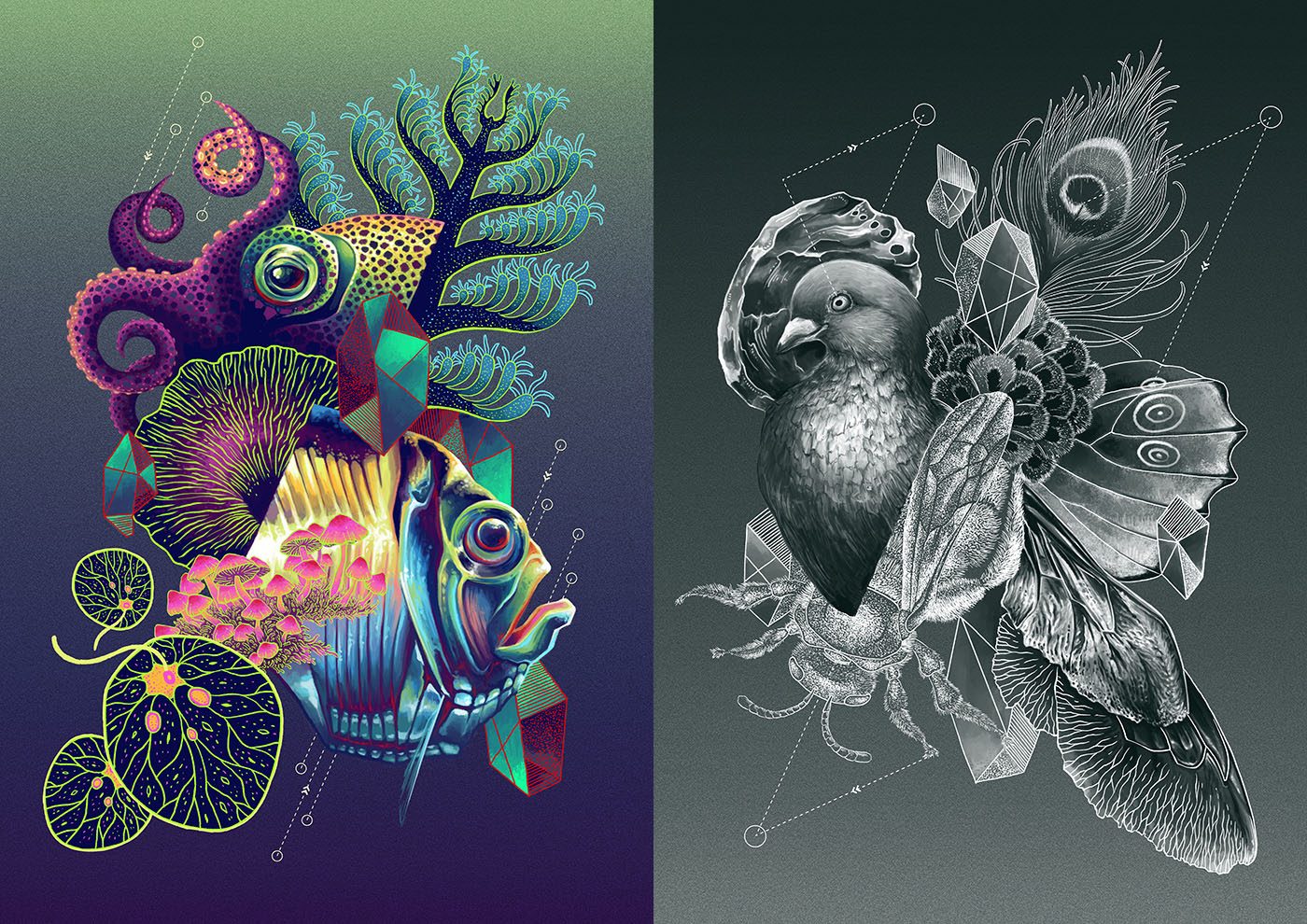 CREATORS – Franz Anthony | Polyfield Magazine