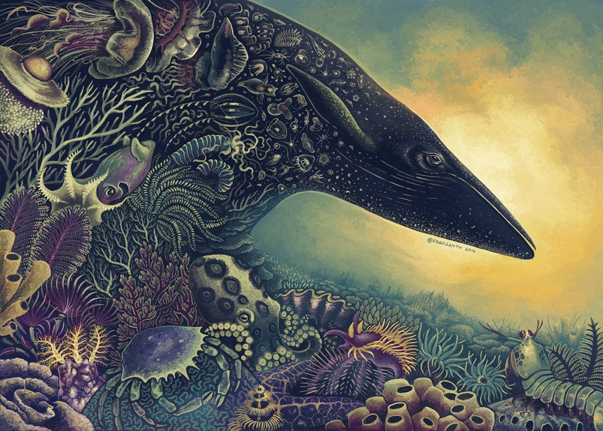 CREATORS – Franz Anthony | Polyfield Magazine
