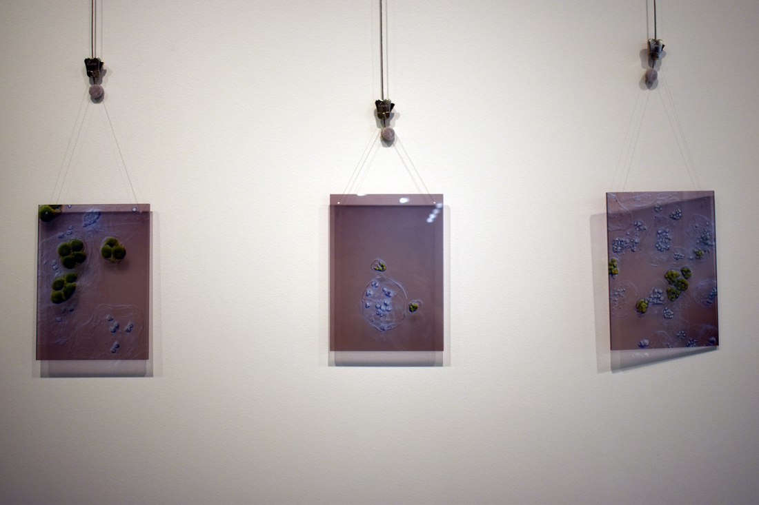 FEATURES – Exploring Life Through SciArt | Polyfield Magazine