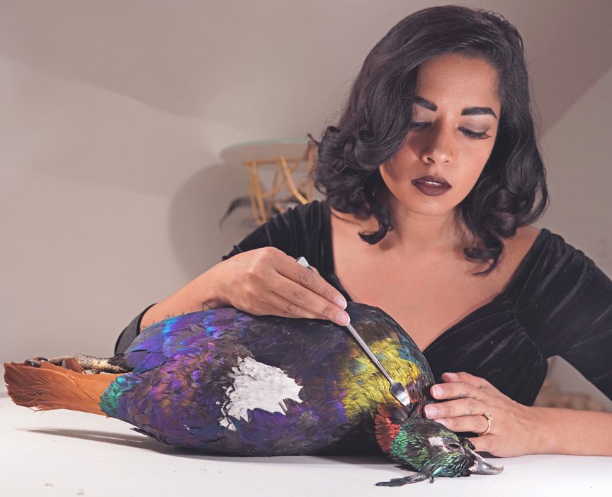 CREATORS – Divya Anantharaman | Polyfield Magazine