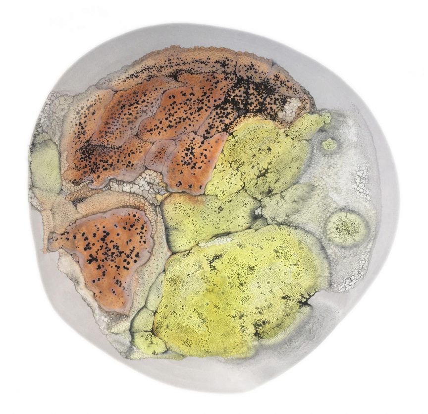 CREATORS – Rose Sanderson | Polyfield Magazine