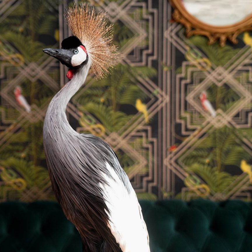 CREATORS – Divya Anantharaman | Polyfield Magazine