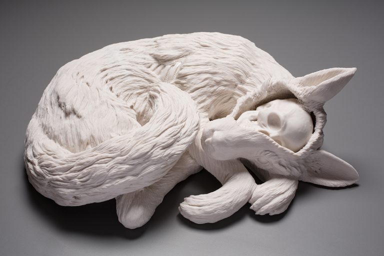 CREATORS – Kate MacDowell | Polyfield Magazine