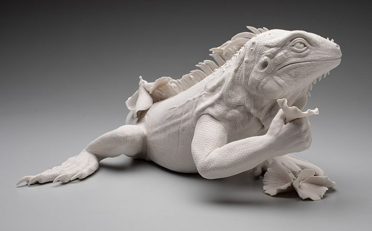 CREATORS – Kate MacDowell | Polyfield Magazine