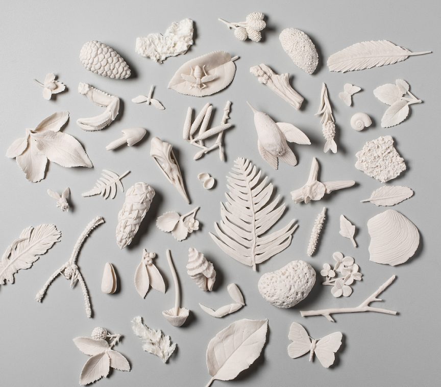 CREATORS – Kate MacDowell | Polyfield Magazine