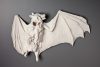 CREATORS – Kate MacDowell | Polyfield Magazine