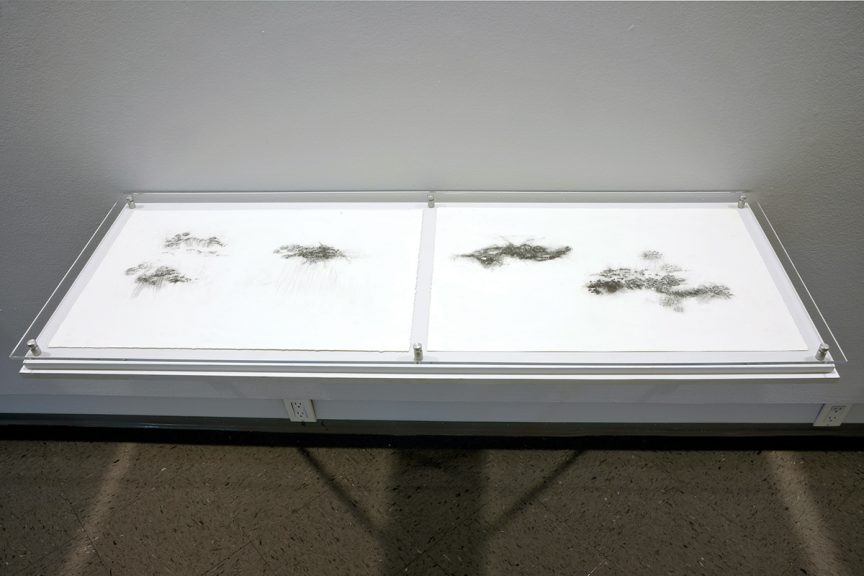 CREATORS – Holly Fay | Polyfield Magazine