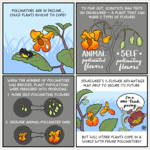 FEATURES – Ecological Comics by Loy Xingwen | Polyfield Magazine