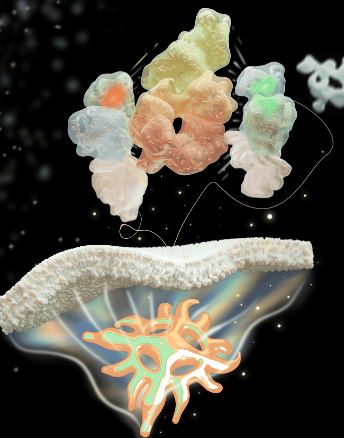 CREATORS – LEONORA MARTÍNEZ NÚÑEZ | Polyfield Magazine